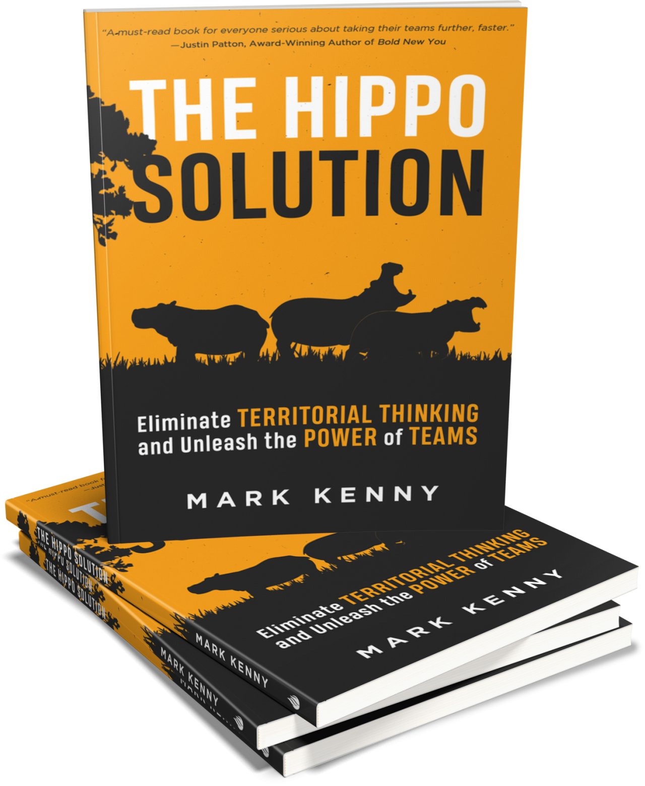 Mark’s Book | The Hippo Solution | Mark Kenny | Corporate Retreat ...